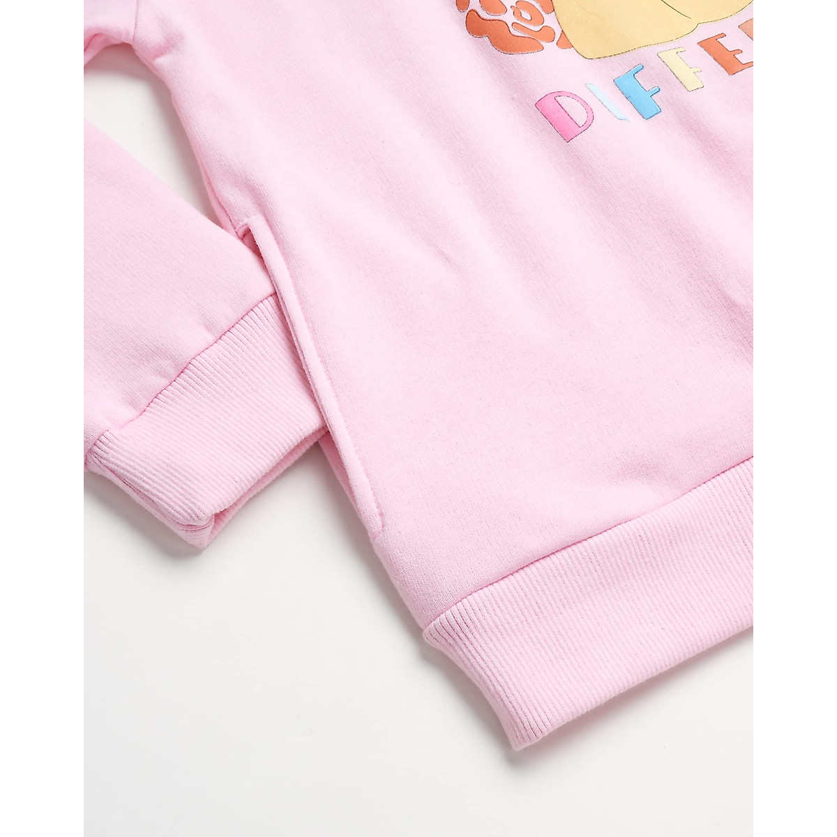 Disney Girls' Princess Sweatshirt – Frozen Elsa Anna, Cinderella, Belle, Moana Pullover Hoodie (2T-7), Size 4T, Belle Pink