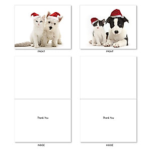 The Best Card Company - 20 Christmas Thank You Cards Boxed (10 Designs, 2 Each) - Assorted Gratitude Cards (4 x 5.12 Inch) - Christmas Copy Cats AM6596XTG-B2x10