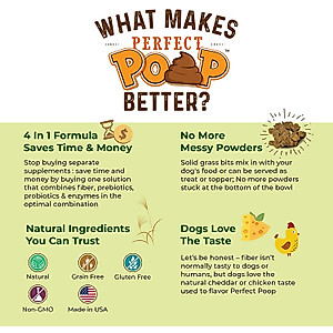 Perfect Poop Digestion & General Health Supplement for Dogs: Fiber, Prebiotics, Probiotics & Enzymes Relieve Digestive Conditions, Optimize Stool, and Improve Health (Cheddar Cheese, 4.2 oz)