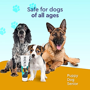 RADIUS USDA Organic Canine Pet Toothpaste 1 Unit, 3 oz, Non Toxic Toothpaste for Dogs, Designed to Clean Teeth and Help Prevent Tartar and Remove Plaque, Xylitol Free
