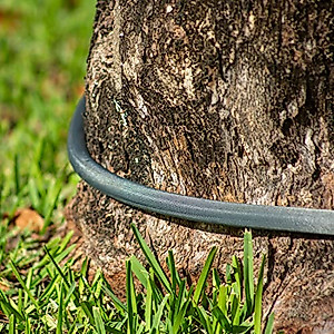 Aqua Joe SJ-SHSBB3LIH Garden Hose Stand with Brass Faucet and 3 ft Lead in Hose, Gray