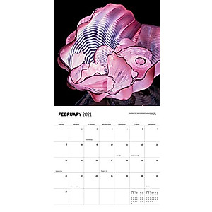 Chihuly 2021 Wall Calendar