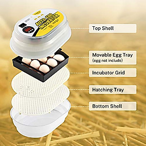 Magicfly Mini Egg Incubators for Hatching Eggs, with Automatic Egg Turning, 9-12 Eggs Hatching Incubator for Chickens, Ducks, Goose, Birds