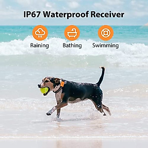 PATPET Dog Training Collar - IP67 Waterproof Dog Shock Collar with Remote for Small Medium Large Dogs, Rechargeable Shock Collar with Beep Vibration Shock Modes