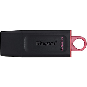 Kingston 256GB Flash Drive DataTraveler Exodia USB 3.2 High Speed 100MB/s USB for Computer (DTX/256GB) Bundle with 1 Everything But Stromboli Lanyard