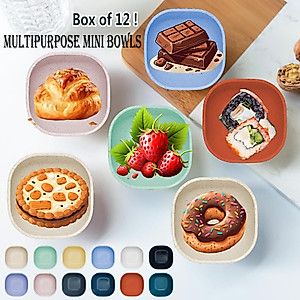 SHECIPIN 12 Pack Mini Square Dinnerware Bowls for Kids 4.5 OZ Unbreakable Wheat Straw Dipping Bowls, Small Bowls Perfect for Prep, Nuts, Candy, or Dips(Multicolor)