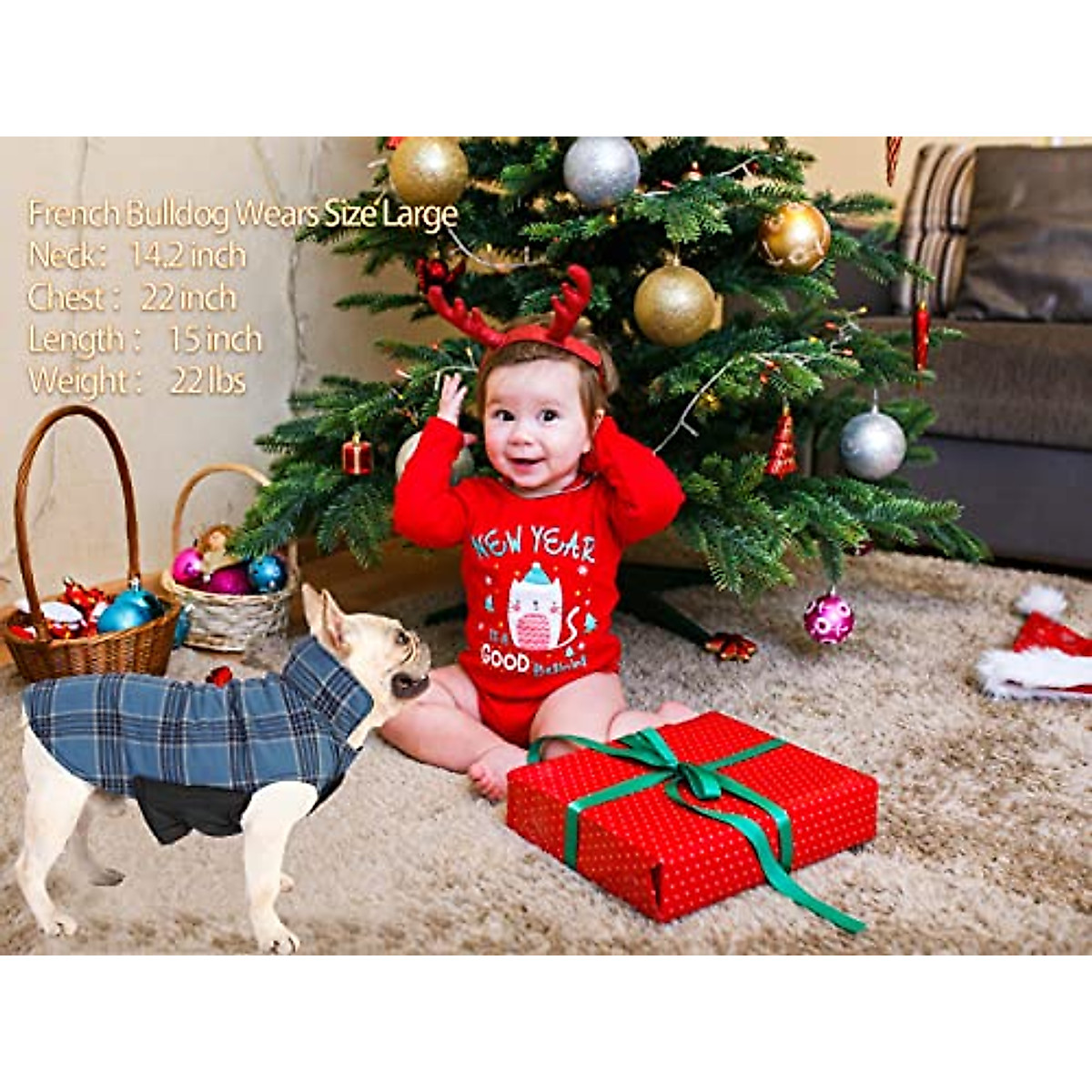 Caslfuca Dog Winter Coat, Winter Dog Extra Warm Coats Dog Fleece Jackets Dog Clothes, Windproof Waterproof Dog Cold Weather Coats for Small Medium Large Dogs and Puppy Apparel