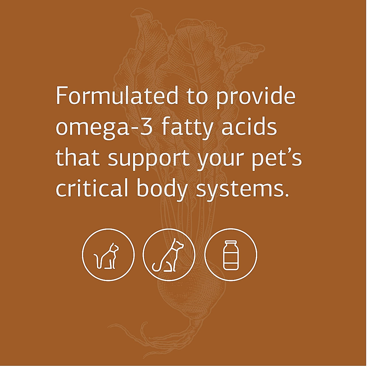 Standard Process VF Omega-3 for Pets - Dietary Supplement with Omega-3 Fatty Acids - Support Bone Growth, Immune Health, Heart Health & More - Fish Oil Supplement for Pets - 90 Softgels