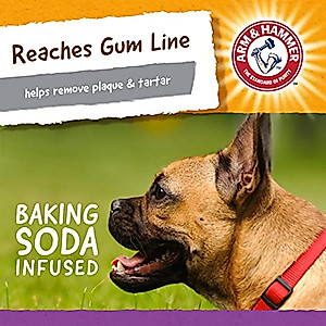 Arm & Hammer Nubbies Dental Toys DuoBone Dental Chew Toy for Dogs Best Dog Chew Toy for The Moderate Chewers Reduces Plaque & Tartar Buildup Without Brushing, Chicken Flavor (Pack of 24)