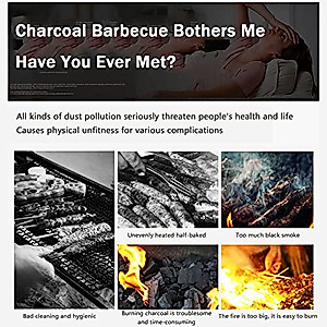 Stainless Steel Burner Gas BBQ for Outside Garden Grill BBQ with Fat Catcher, Tabletop Gas Grill Stainless Steel Two-Burner BBQ with Updated Knobs, Perfect for Camping, Picnics or Any Outdoor,Silver