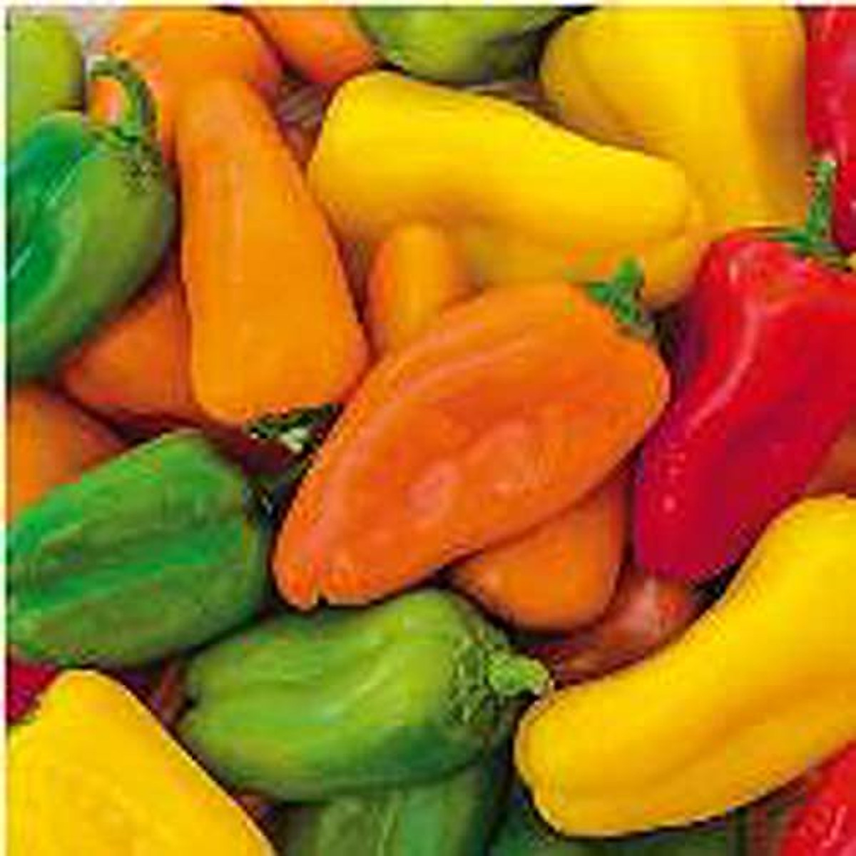 Yum Yum Mix Sweet Peppers Seeds (20+ Seeds) | Non GMO | Vegetable Fruit Herb Flower Seeds for Planting | Home Garden Greenhouse Pack
