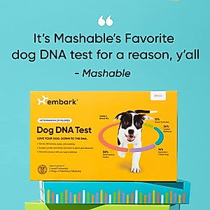 Embark Breed Identification Kit | Most Accurate Dog DNA Test | Test 350+ Dog Breeds | Breed ID Kit with Ancestry & Family Tree