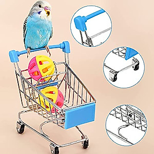Dft Bird Toys, 6 Kinds Bird Training Toys Set Include Stacking Rings Skateboard Metal Trolley Coin Jar Bell Ball Toy to Improve IQ