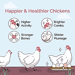 Mile Four | Oyster Shell for Strong Chicken Eggshells | 100% US Mined Limestone | Organic, Natural Crushed Oyster Shell Limestone for a Calcium Boost | Strong Eggshells & Healthier Chickens | 50 lbs.