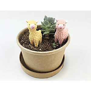 HoneyToys 2pcs Resin Mini Alpacas, Miniature Figurines, Fairy Garden Accessories, Fairy Garden Supplies, Fairy Garden Animals for Fairy Garden, Plant Pots, Bonsai Craft Decor