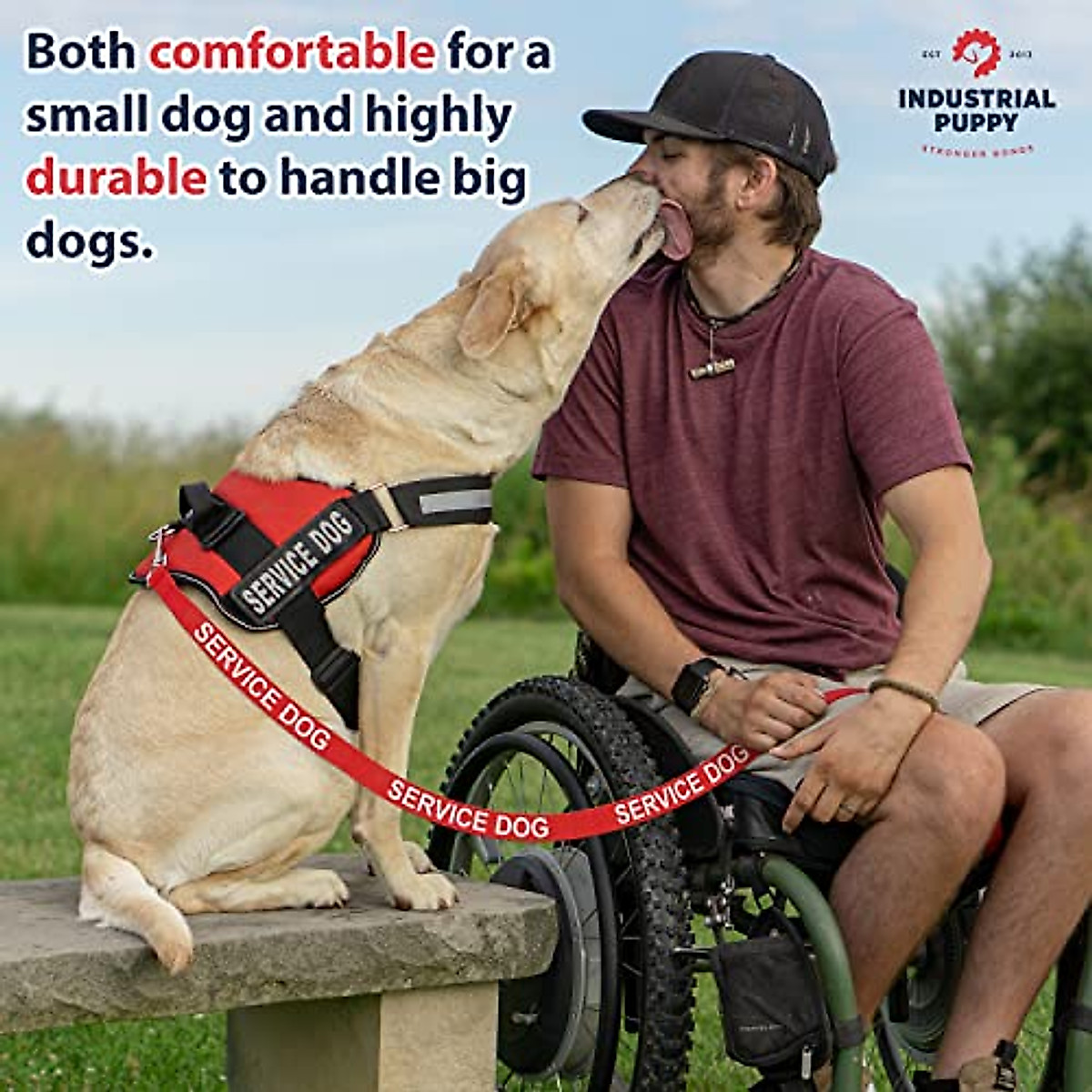 Red Service Dog Leash Wrap with Neoprene Handle and Reflective Service Dog Lettering - Supplies or Accessories for Service Dog Vest or Harness - Available in Red, Black, and Pink (Red, Service Dog)