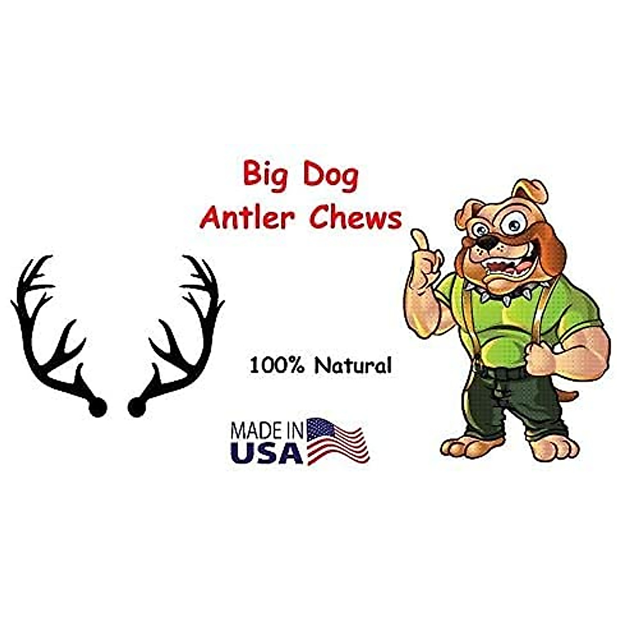 Big Dog Antler Chews 6 Pack for Small Dogs | All Natural Organic Deer and Elk Antler Dog Chews | 0 to 20 Pounds