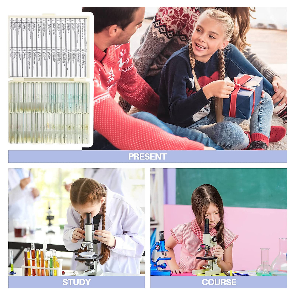 120Pcs Prepared Microscope Slides Animals Insects Plants Bacterial Sample Biological Slide Specimen for Kids Students Adults, for Science Study and Education