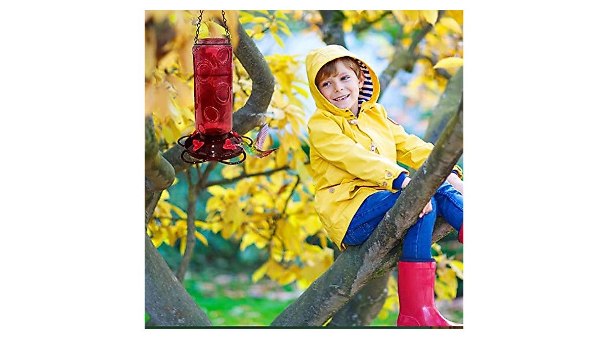 Urban Deco Large Capacity Hummingbird Feeders for Outdoors Hanging Wild ...
