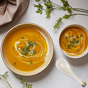 6 Pcs Ceramic Soup Spoons Japanese Retro Soup Spoons Chinese Soup Spoon Ceramic Asian Soup Spoons Rice Spoon Flatware Asian Serving Spoons Appetizers Tableware Meal Partner for Tasting