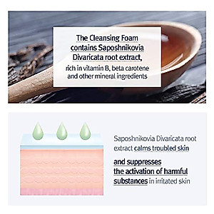 PYUNKANG YUL Cleansing Foam - Korean Facial Wash for All Skin Types - Zero-irritation Face Washer extracted from Coconut - Moisturized Skin & Creating Moisture Barrier after Cleansing - 5.1 Fl. Oz