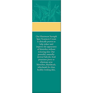 Burts Acne Spot Crm Max Size .5 Oz Burts Bee Acne Max Sport Cream 0.5oz