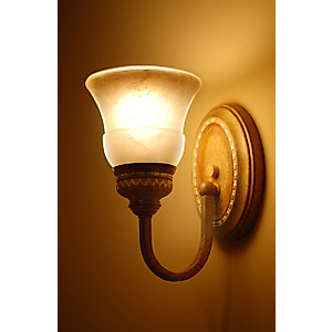 Feit Electric A19 LED Light Bulb, 60W Equivalent, E26 Medium Base, 800 Lumens, 2700K Soft White, Non-Dimmable Standard Light Bulb, 10,000-Hour Lifetime, A800/827/10KLED