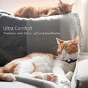 AirTag Cat Collar,FEEYAR Integrated Kitten Collar with Apple Airtag Holder[Black],Soft GPS Cat Collar with Air Tag Holder & Bell,Air Tag Cat Collars for Girl Boy Cats,Puppies,Lightweight Cat Tracker