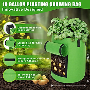 HYH 6 Pack 10 Gallon Potato Grow Bags with Flap Colorful Plant Grow Bags for Growing Potatoes Heavy Duty Thickened Nonwoven Fabric Grow Bags Pots Gardening Vegetable Growing Bags with Durable Handles