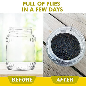 10 Pack Fly Trap Bait Refills, Reusable Fly Bait, 10 * 30g Natural Fly Bait Refill Packets Killer for Reusable Fly Traps Outdoor, Fly Attractant for Ranch Fly Traps Outdoor