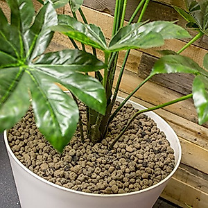 GROW!T GMC10L - 4mm-16mm Clay Pebbles, Brown, (10 Liter Bag) - Made from 100% Natural Clay, Can be used for Drainage, Decoration, Aquaponics, Hydroponics and Other Gardening Essentials