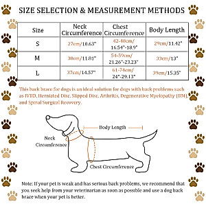 RUIFAR IVDD Back Brace for Dogs, Flexible Pet Dachshund Back Supporting Vest, Dog Back Bracer for Small Pet with Arthritis, Back Pain,Herniated Disc,Spinal Surgical Recovery (S)