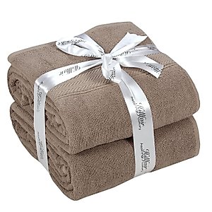 600 GSM - 40 x 80 Inches - 100% Cotton Bath Sheets Pack of 2 - Highly Absorbent Extra Large Bath Sheet Towels Set - Jumbo Oversized Cotton Bath Sheets Towels - Super Soft Hotel Quality Towel (STONE)
