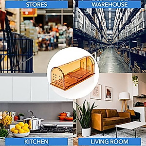 PATTLER® - 2 PCS Humane Mouse Trap for Indoor and Outdoor Home - Mechanical Reusable Rat Trap That Still Alive for Catch and Release, Garden, Garage, Attic, Inn, Hotel Use