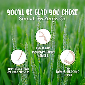 Biodegradable Dental Floss Picks 100 Count 2 Packs | Eco-Friendly Bamboo Like Straw Wheat Sustainable Mint Flavored Flossers for Kids and Adult Teeth Cleaning for The Enviromentally Conscious