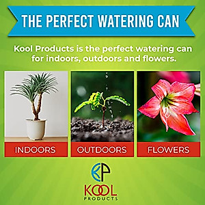 KP KOOL PRODUCTS (1 Pack) 1/2 Gallon Plant Watering can - Mini Watering can - Indoor Watering can - Watering can for Outdoor Plants - Flower Watering can - BPA Free (Blue)