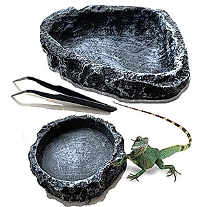 Reptile Feeding Dish Water Bowls 2 Pack Food Dish Water Dish Reptile Dish with Breadworm Feeding for Dragon Leopard Gecko Lizard Spider Scorpion Chameleon ((Round + Corner) Bowl+Tongs)