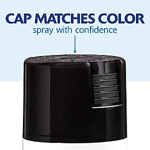 Rust-Oleum 249061 Painter's Touch 2X Ultra Cover Spray Paint, 12 oz, Semi-Gloss Black (Pack of 2)