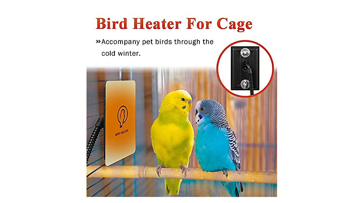 Snuggle Up Bird Heater - Comfort for Your Exotic Birds