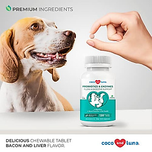 Probiotics for Dogs - 120 Chewable Tablets - Diarrhea & Gas Support for Dogs - 5.5 Billion CFUs with Digestive Enzymes and Prebiotics - Dog Allergies, Bad Dog Breath & Constipation Support
