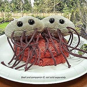 GIANTmicrobes E. Coli Plush – Learn About The Importance of Gut Health and Food Safety with This Unique Fun Gift for Families, Teachers, Chefs, Doctors, Gastroenterologists, Students and Scientists