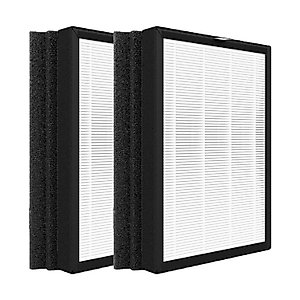 Nyingchi ProHEPA 9000 Replacement Filter,Compatible with VEVA ProHEPA 9000 Air Purifier,Including 2 True HEPA Filters &4 Activated Carbon Filters