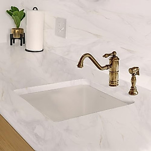 Whitehaus Collection WHUF1818 Undermount/Drop-in Fireclay Kitchen Sinks, Stainless Steel Grid Included