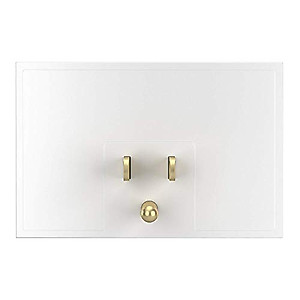 Legrand - Pass & Seymour Radiant WWP10CCV2 Enabled Plug, White Smart Wi-Fi Switch