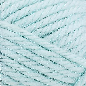 Lion Brand Yarn 135-117 Hometown Yarn, Louisville Julep (1 Skein) (Pack of 2)