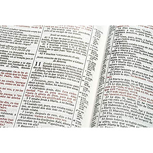 RVR 1960 Biblia de Estudio Scofield, tapa dura (Spanish Edition)