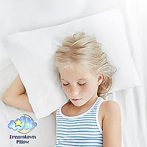 Dreamtown Kids Toddler Pillow & Pillowcase, Hypoallergenic & Made in USA. Ideal for Crib, Bed & Travel. Soft & Breathable for Safe, Cozy Sleep. Perfect for Boys and Girls - Ages 2+,White