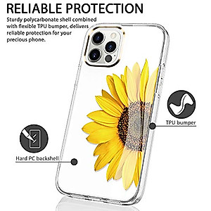 BAISRKE iPhone 12 Pro Max Case,with Flowers,for Girly Women,Shockproof Clear Floral Pattern Hard Back Cover for Phone 6.7 inch 2020 - Sunflower