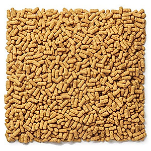 Mazuri | Softbill Diet for Iron-Sensitive Birds | 2 Pound (2 LB) Bag