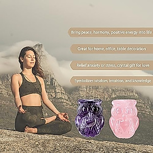 CrystalTears Amethyst Crystal Owl Figurine Ornament Carved Natural Healing Crystal Gemstone Animal Statue for Home Office Decor Reiki Healing Good Luck Crystal Gift for Christmas
